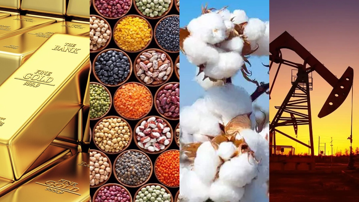 Commodities Control | Grains